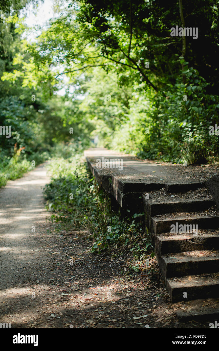 Overgrown Railway Track Stock Photos & Overgrown Railway Track Stock ...