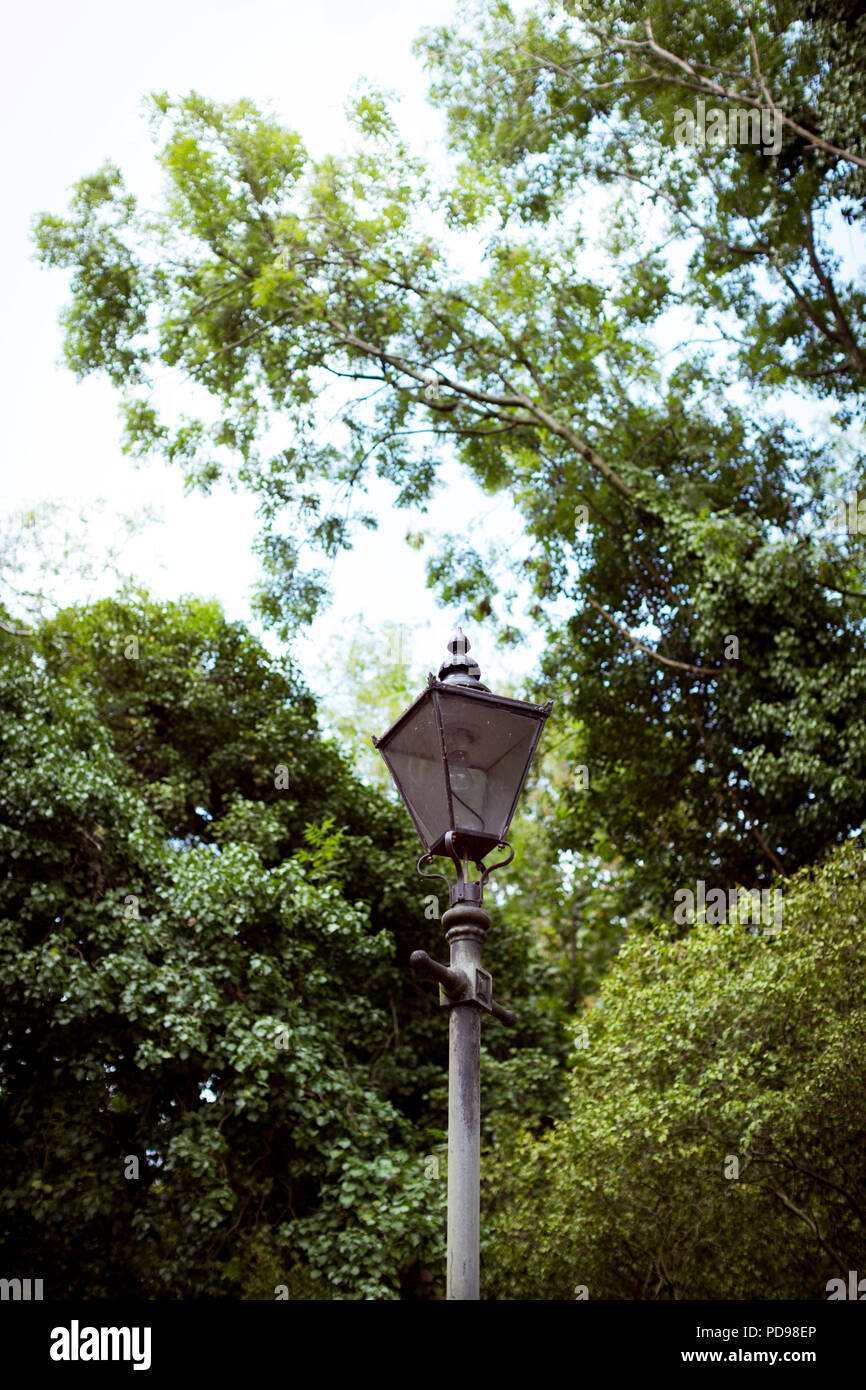 An old iron working lamp post at the Holmesdale Road entrance to the ...