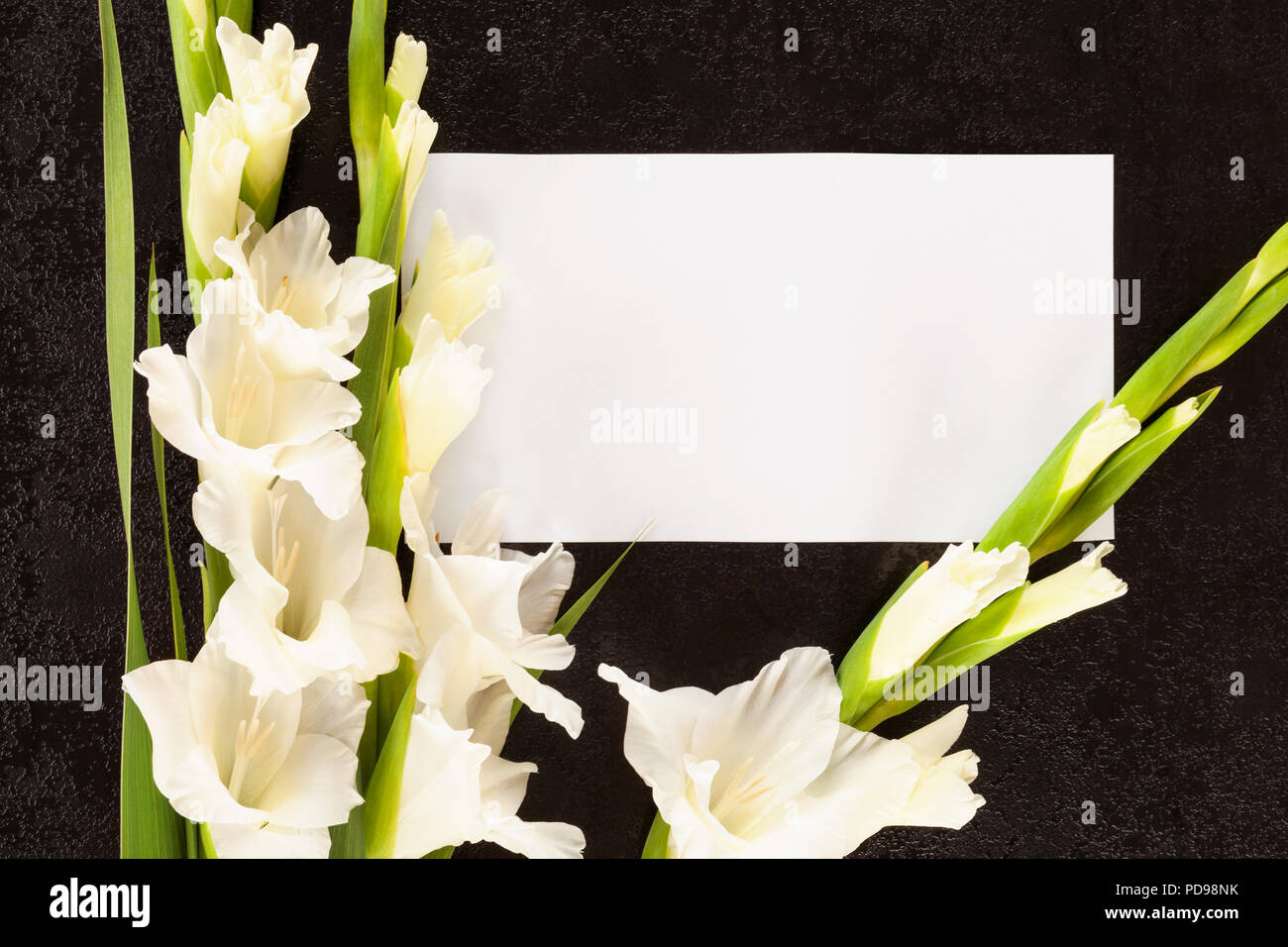 Gladioli flowers with white card from above. Obituary or death notice ...