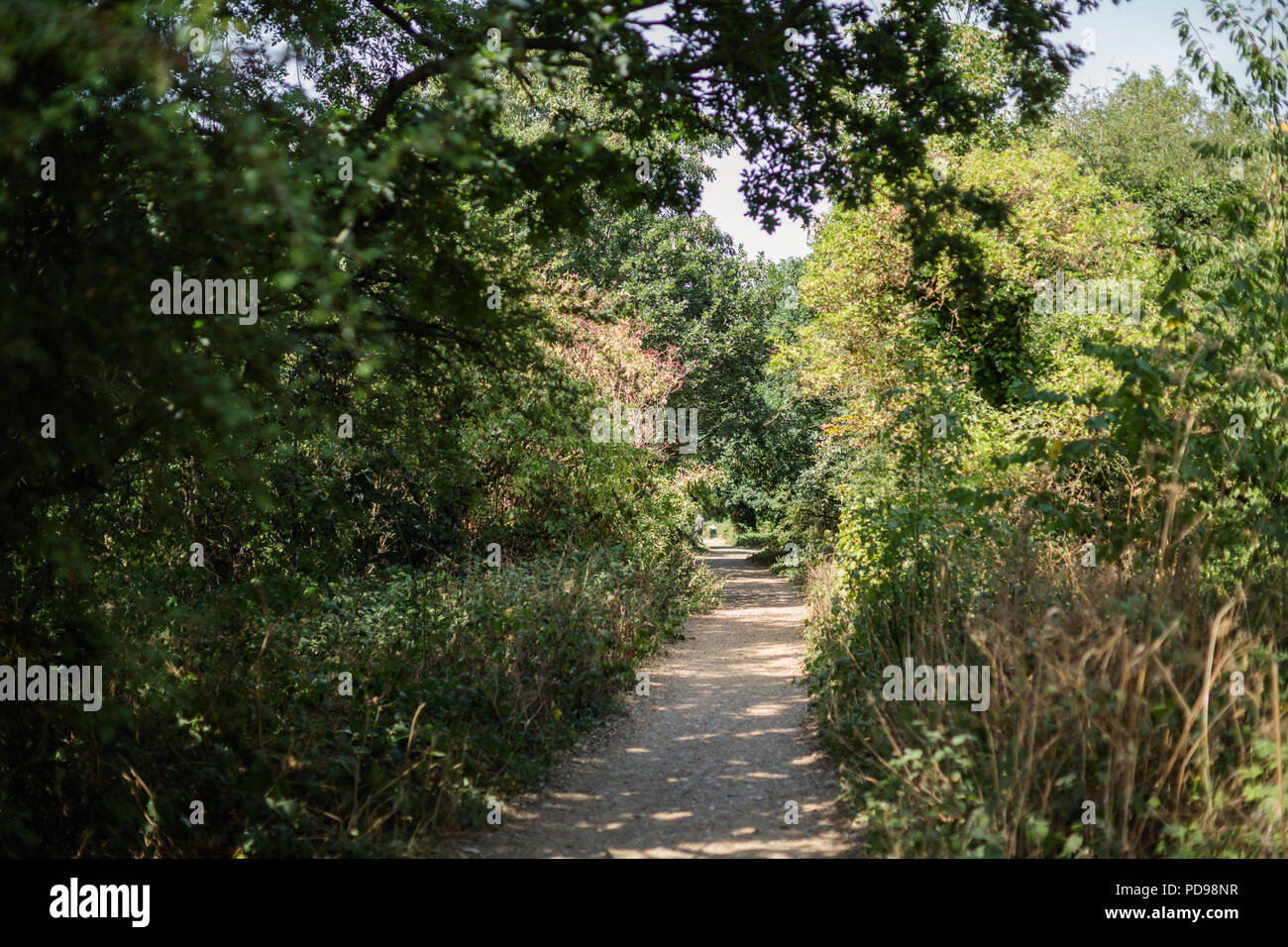 The Parkland Walk is a tree-lined walk along an old railway line ...