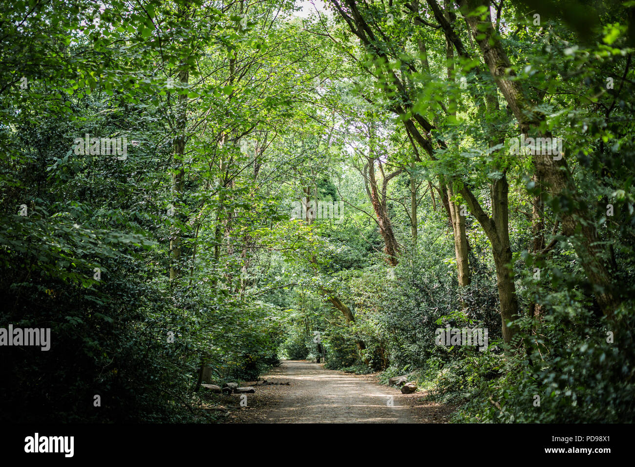 The Parkland Walk is a tree-lined walk along an old railway line ...