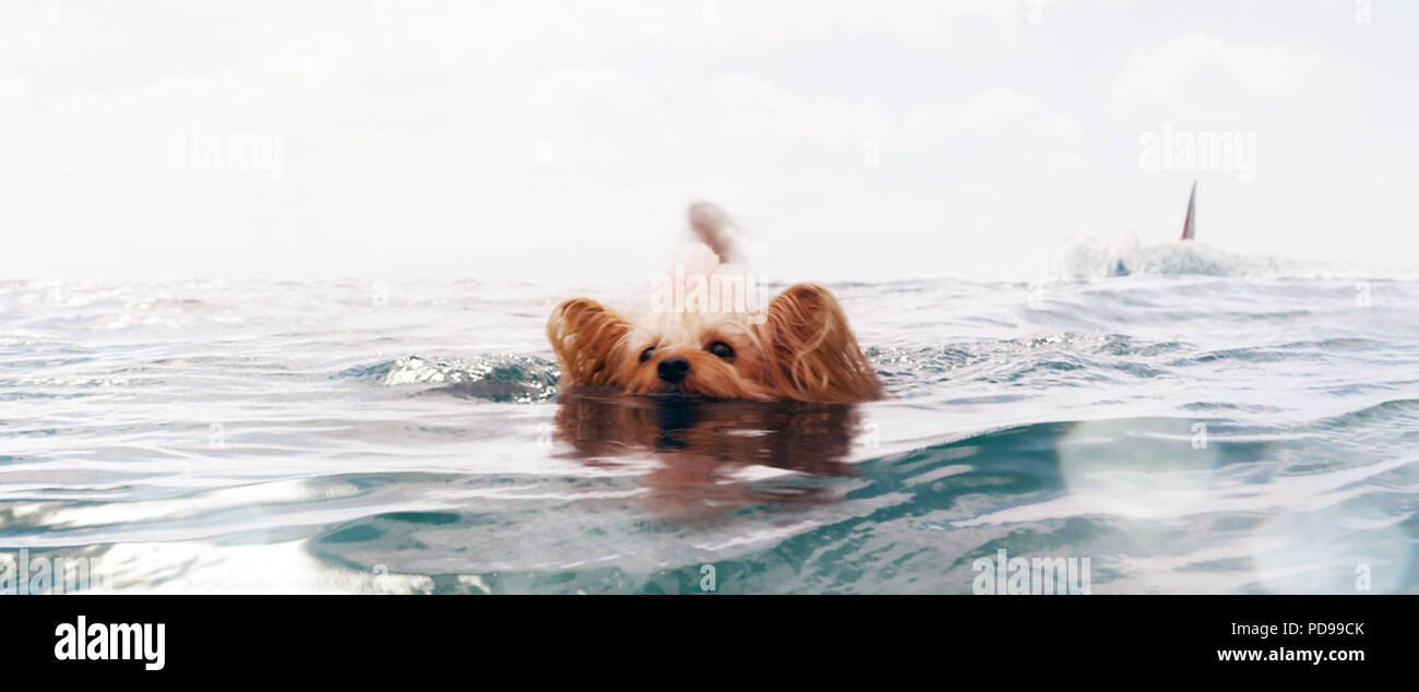 THE MEG, 2018. /© Warner Bros. /Courtesy Everett Collection Stock Photo ...