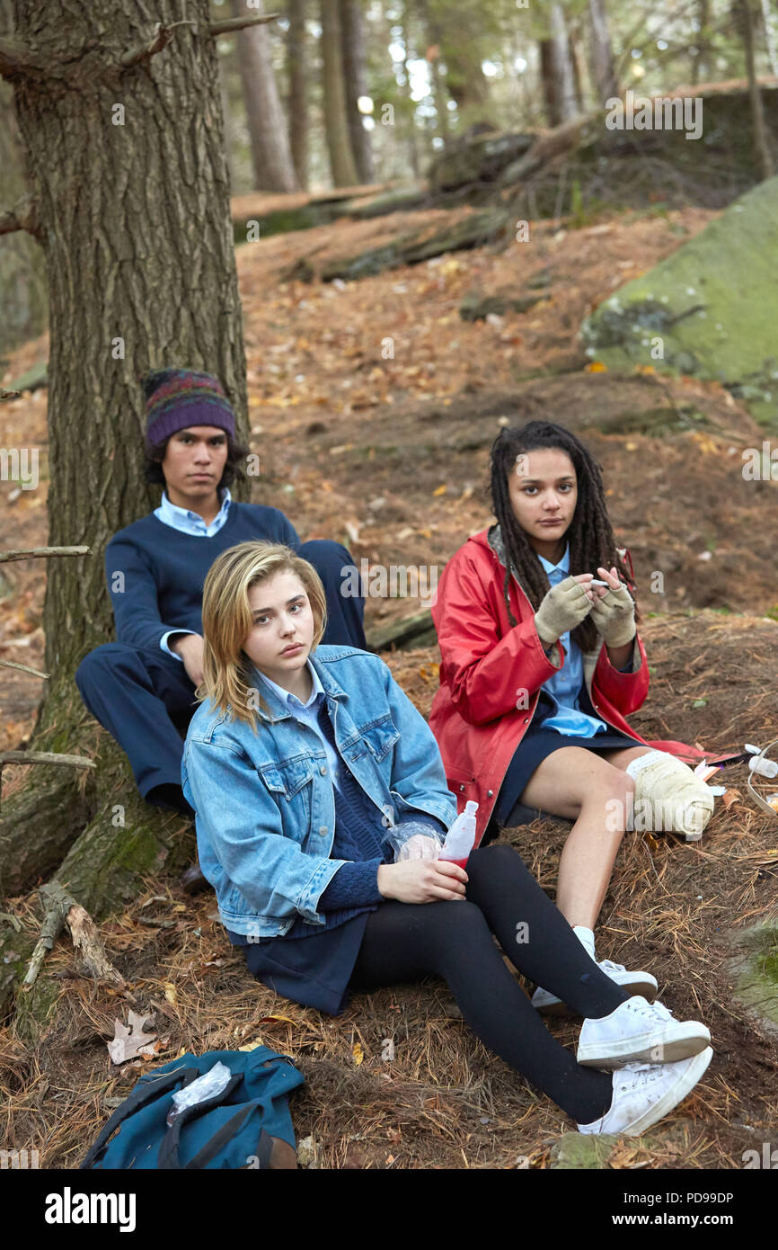 THE MISEDUCATION OF CAMERON POST, from left: Forrest Goodluck, Chloe ...