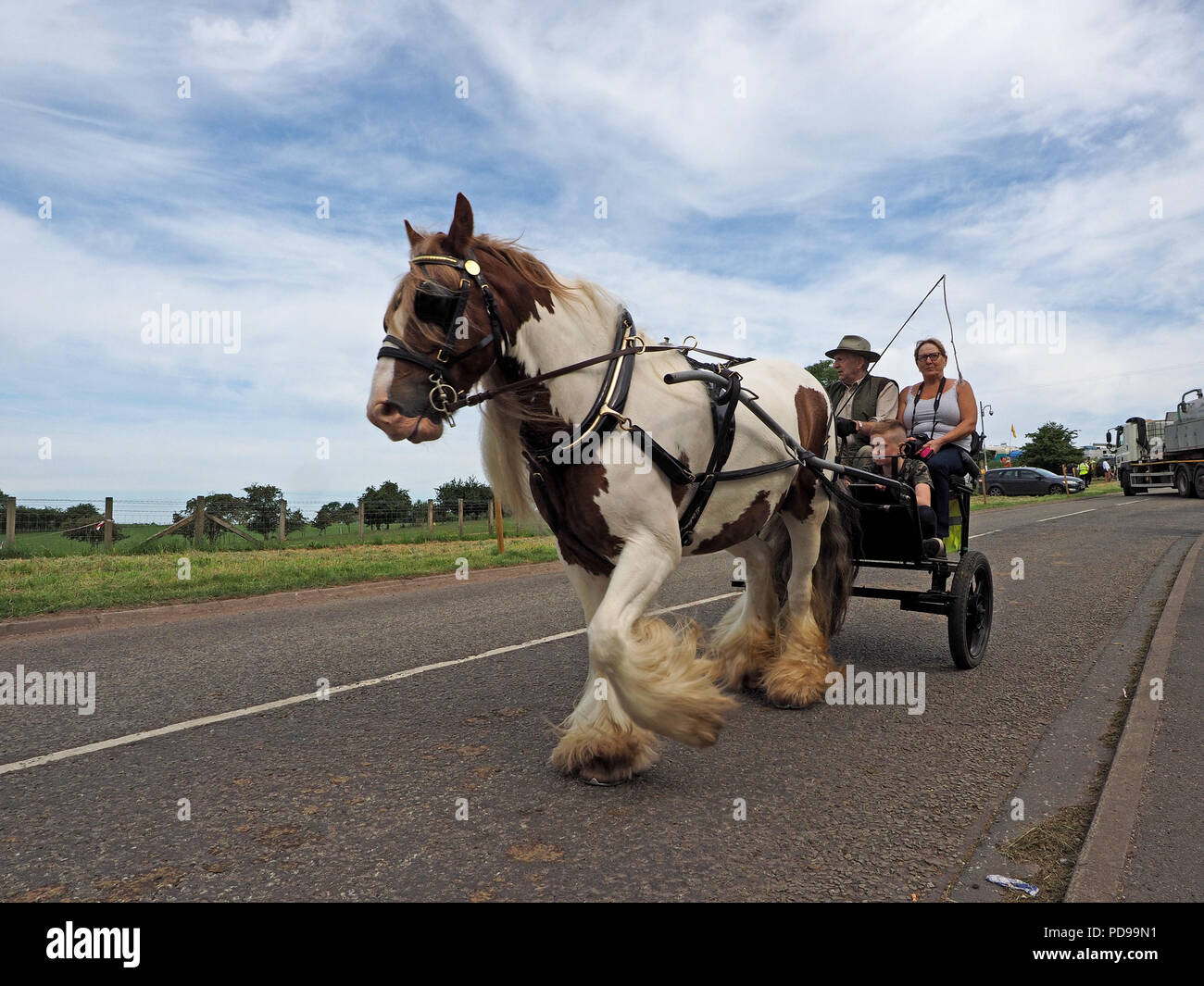 Gypsy racing trap hi-res stock photography and images - Alamy