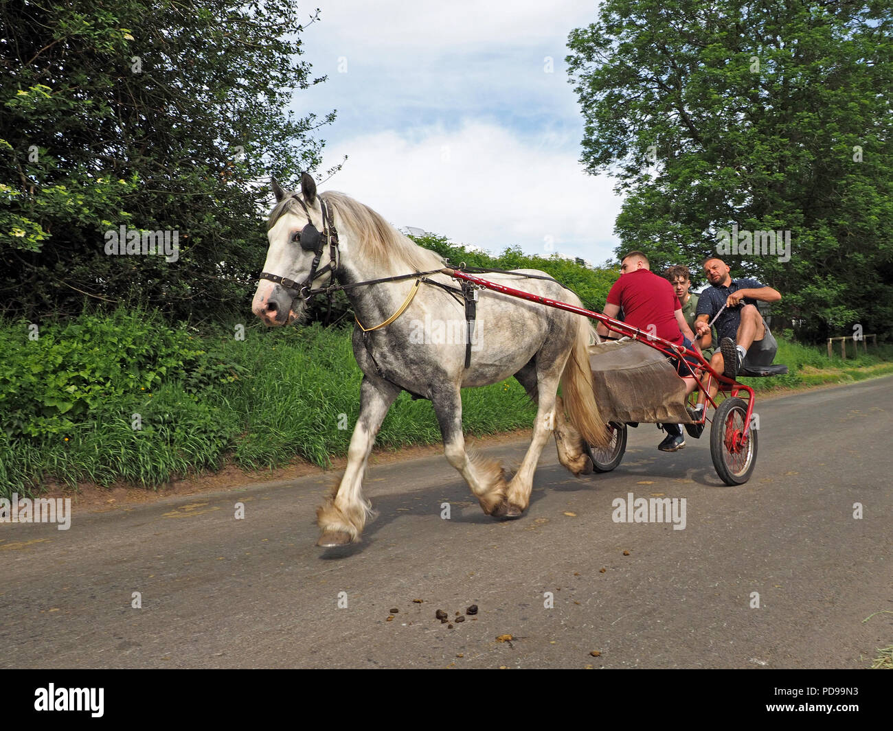 Gypsy racing trap hi-res stock photography and images - Alamy