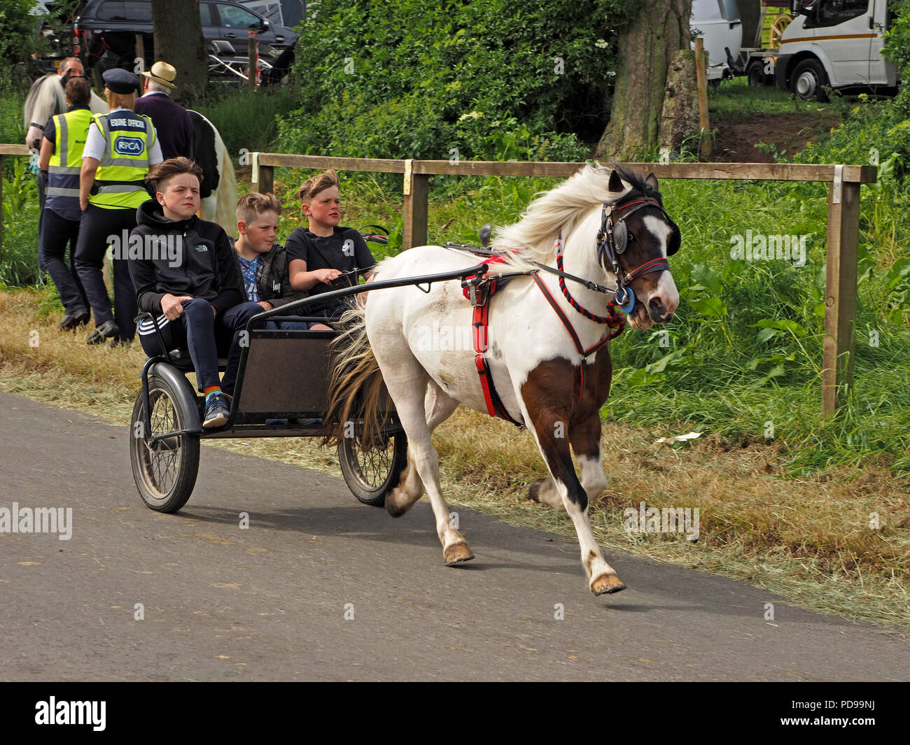 Gypsy racing trap hi-res stock photography and images - Alamy