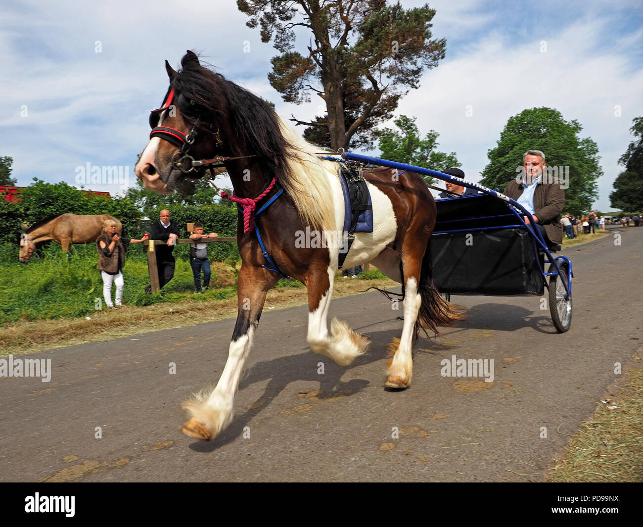 Gypsy racing trap hi-res stock photography and images - Alamy