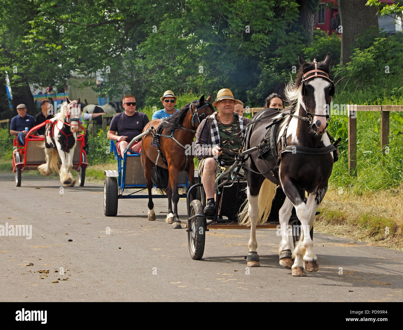 Horse and trap racing up Fair Hill at the annual Appleby Horse Fair ...