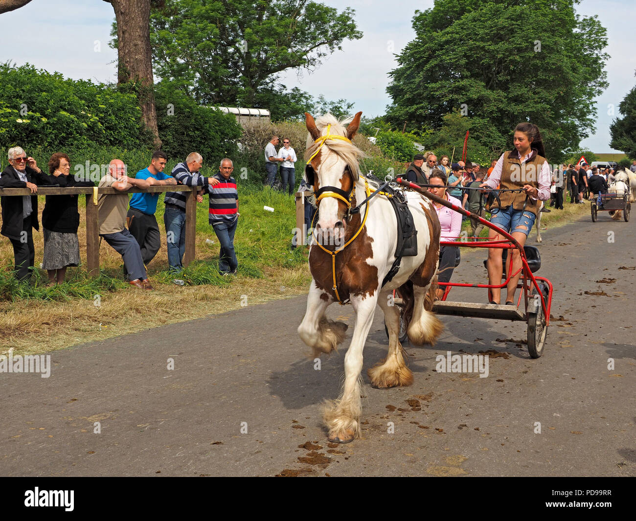 2 women driving horse and trap as it races up Fair Hill at the annual ...