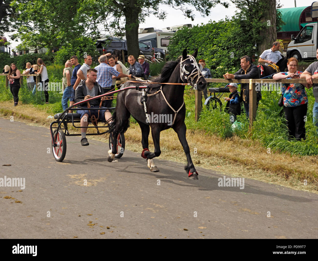 Horse and trap racing up Fair Hill at the annual Appleby Horse Fair ...