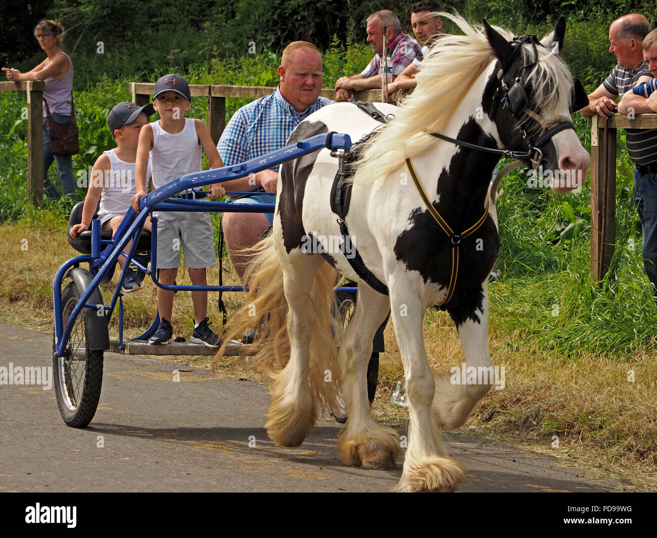 Horse and trap carrying man and boys racing up Fair Hill at the annual ...