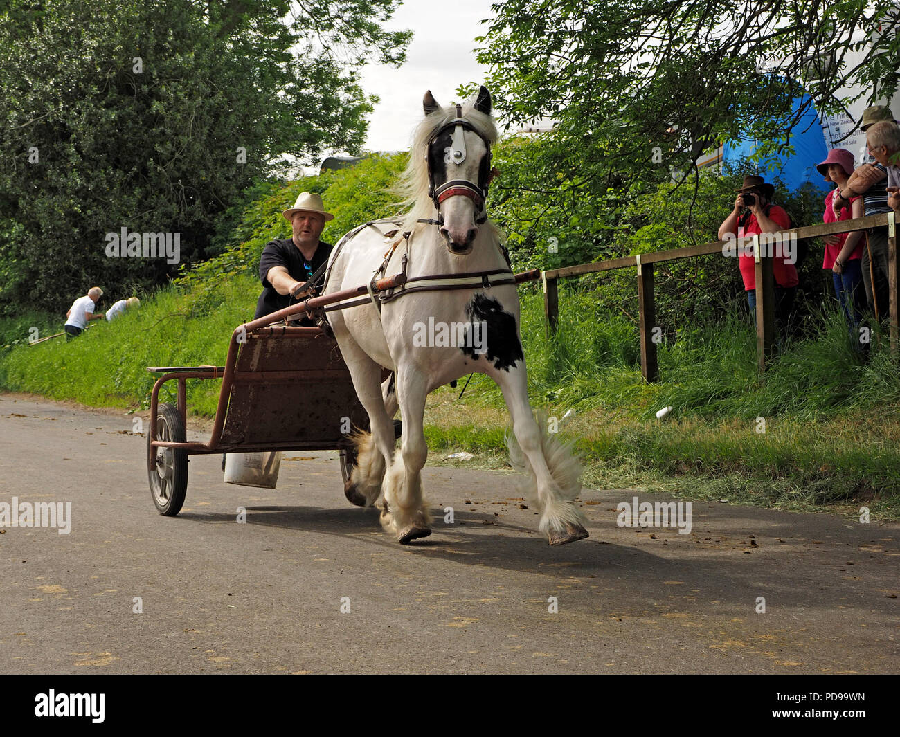Horse and trap racing up Fair Hill at the annual Appleby Horse Fair ...