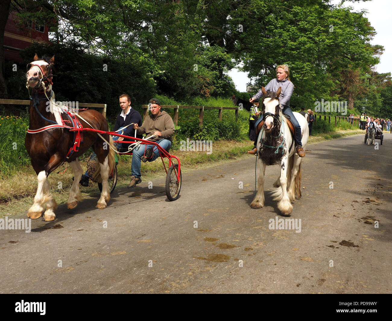 bareback girl rider overtakes horse and trap racing up Fair Hill at the ...