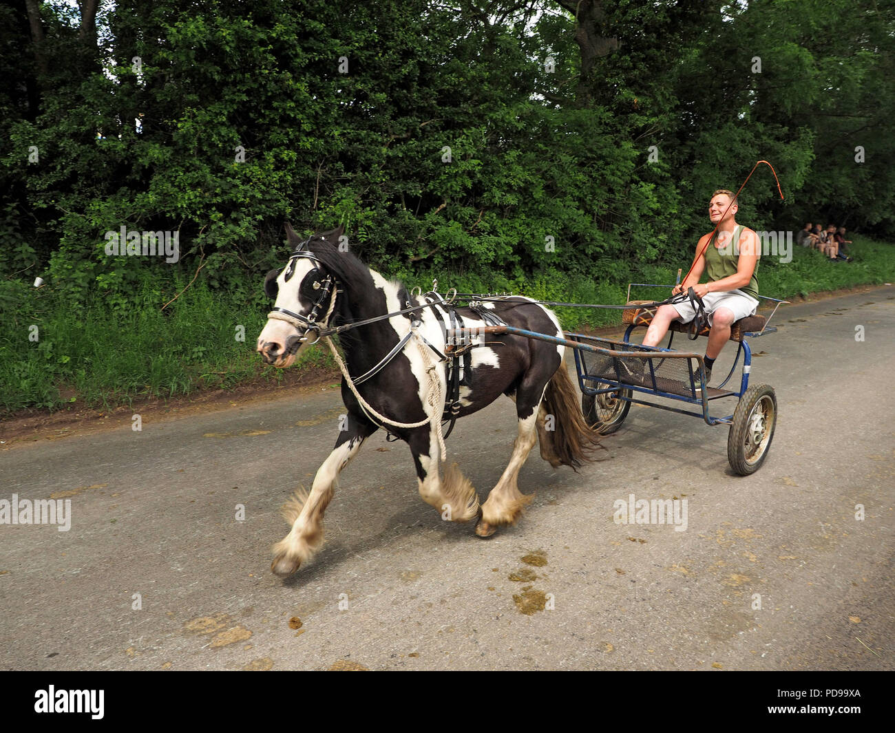 Horse and trap racing up Fair Hill at the annual Appleby Horse Fair ...
