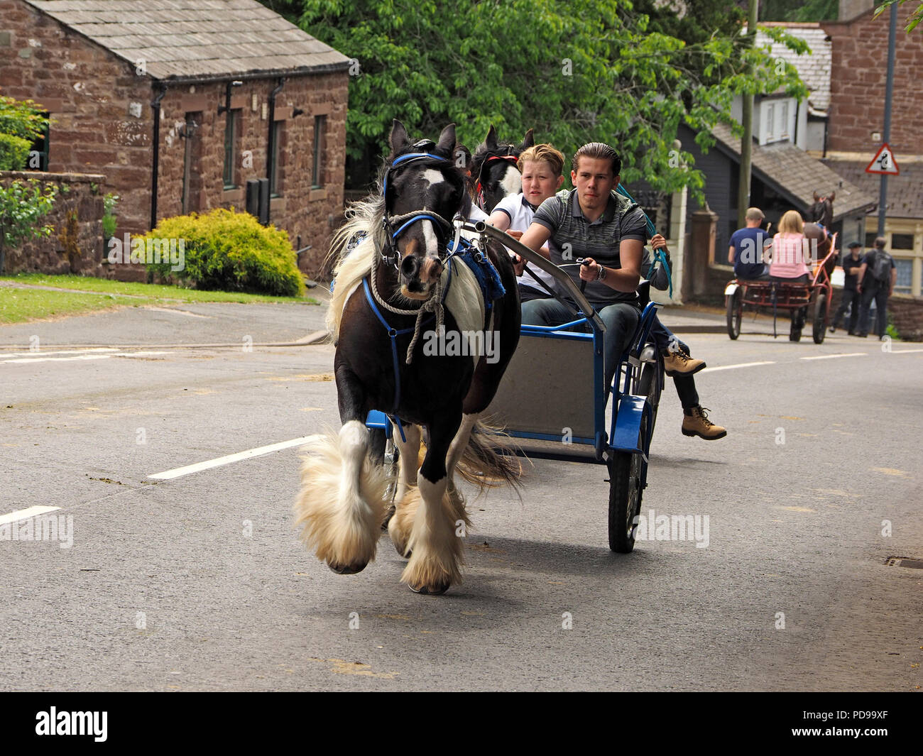 Horse and trap racing up Fair Hill at the annual Appleby Horse Fair ...