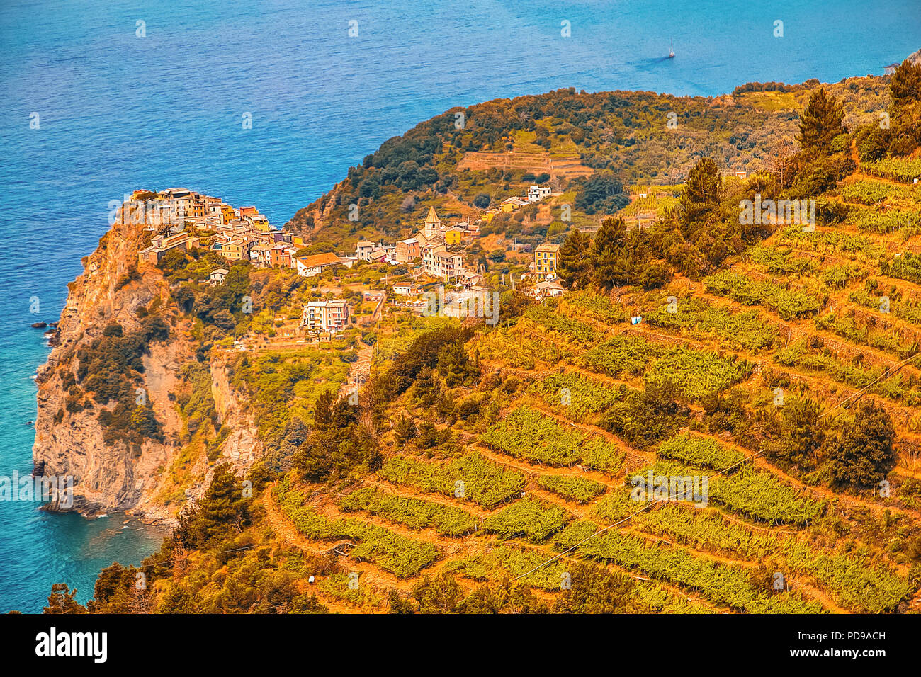 vineyard terraces overlooking the sea and ancient village Stock Photo ...