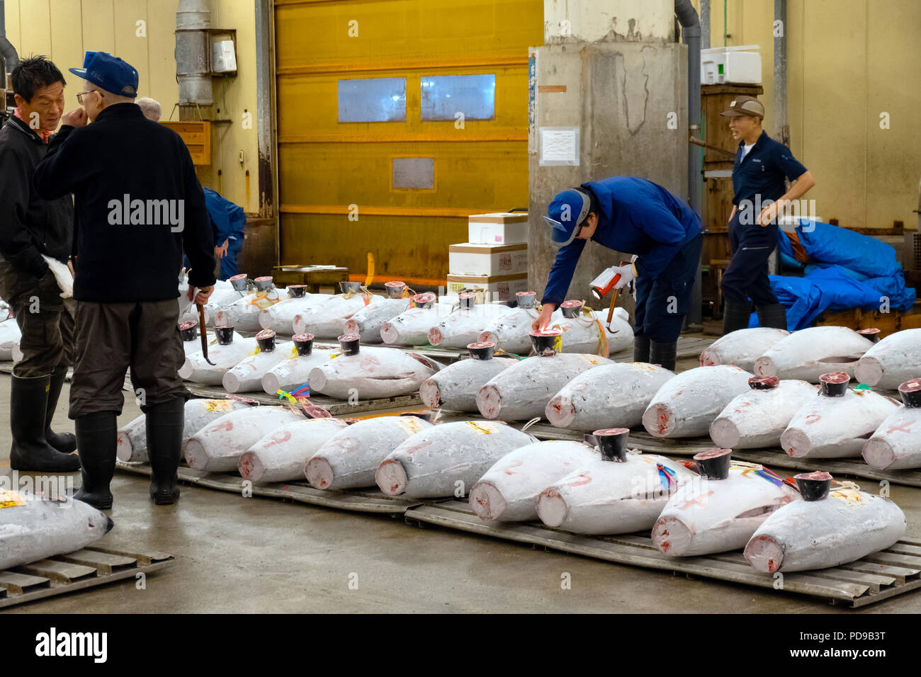 TOKYO, JAPAN - APRIL 26 2018: The auction at the inner area of Tsukiji ...