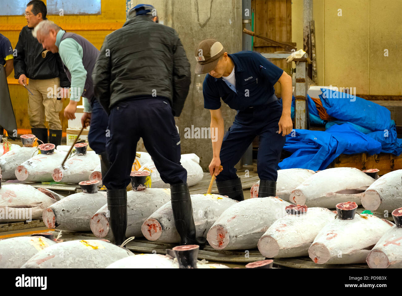 TOKYO, JAPAN - APRIL 26 2018: The auction at the inner area of Tsukiji ...
