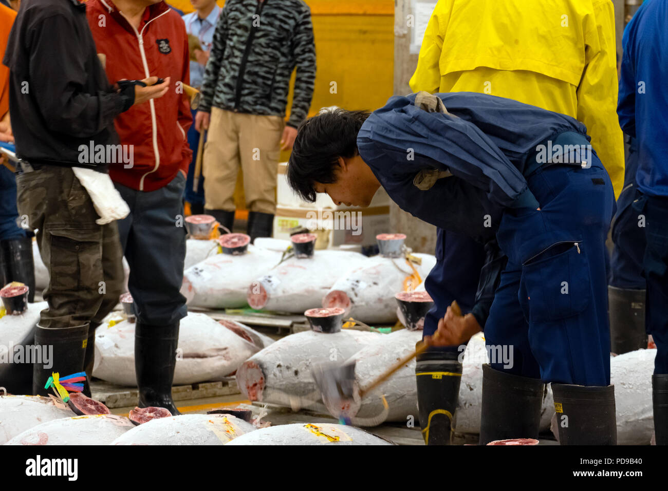 TOKYO, JAPAN - APRIL 26 2018: The auction at the inner area of Tsukiji ...