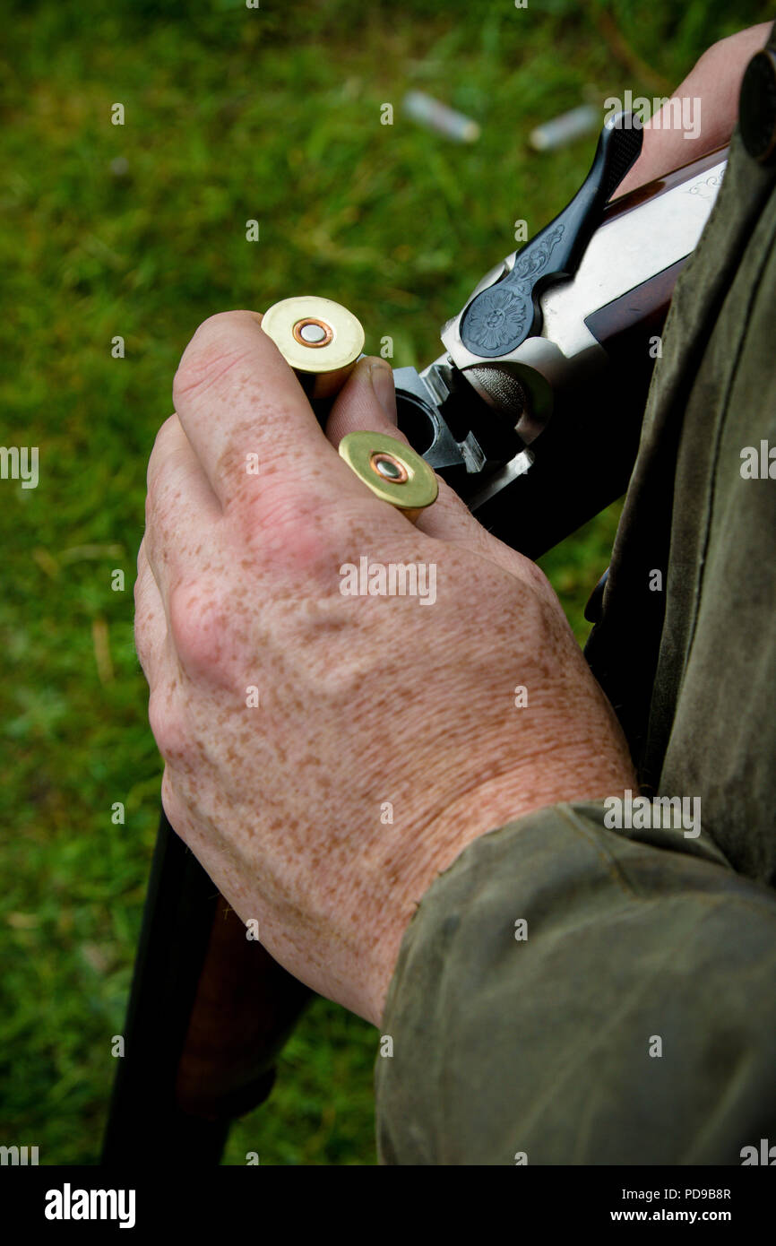 Loading a double barreled shotgun with new cartridges Stock Photo - Alamy