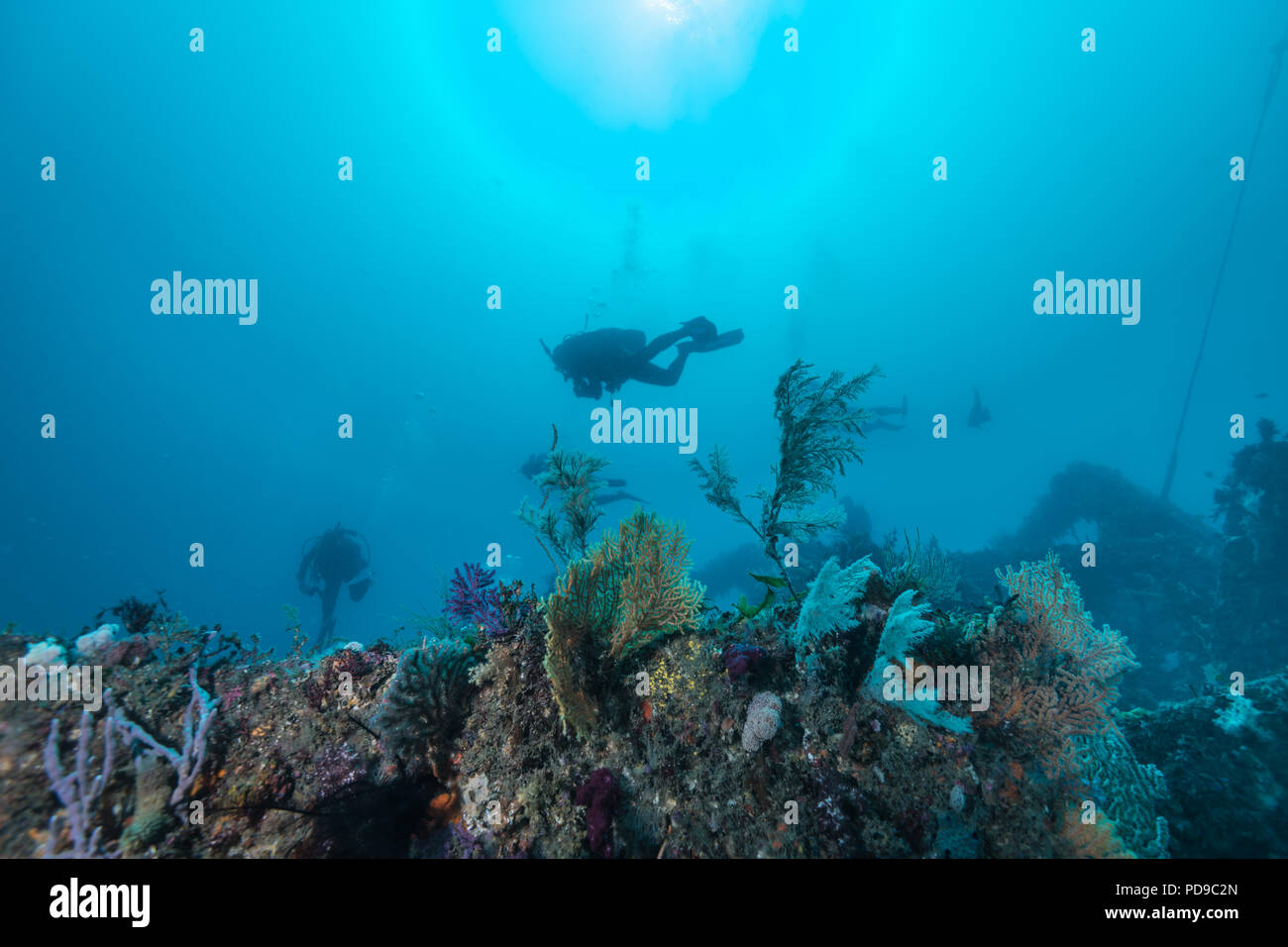 Diver silhouette and reefs. from sea bed. -23m. Owase, Mie, Japan Stock ...