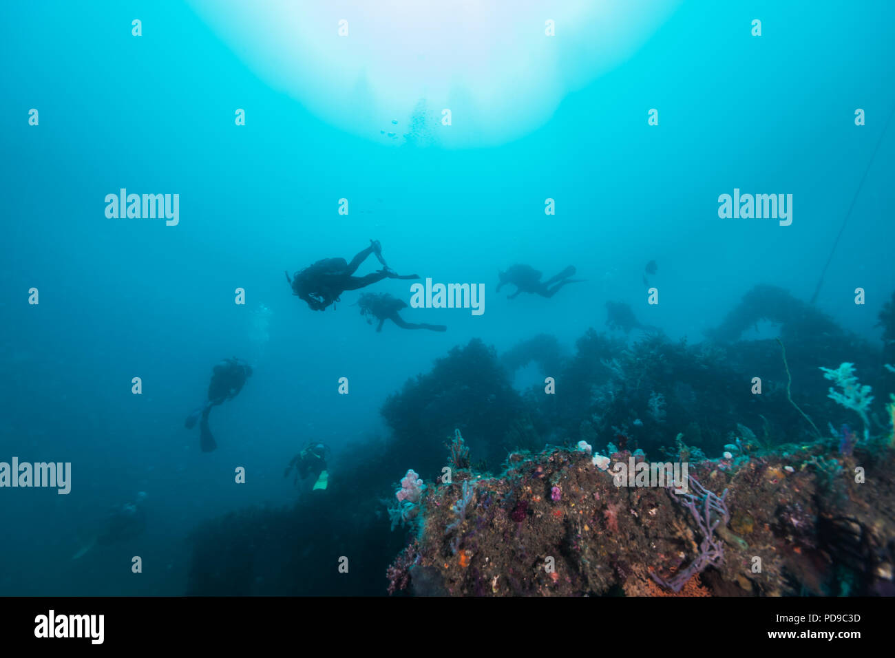Diver silhouette and reefs. from sea bed. -23m. Owase, Mie, Japan Stock ...
