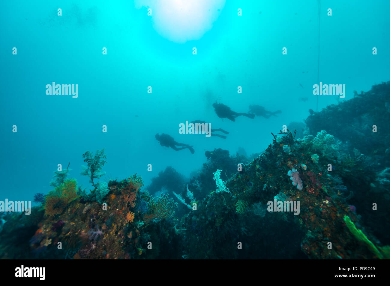 Artificial offshore reefs hi-res stock photography and images - Alamy