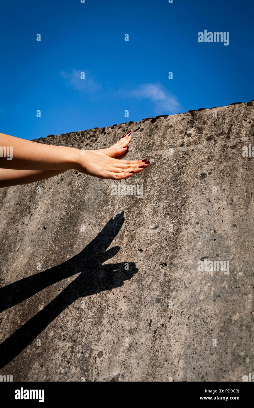 Hands making bird hi-res stock photography and images - Alamy