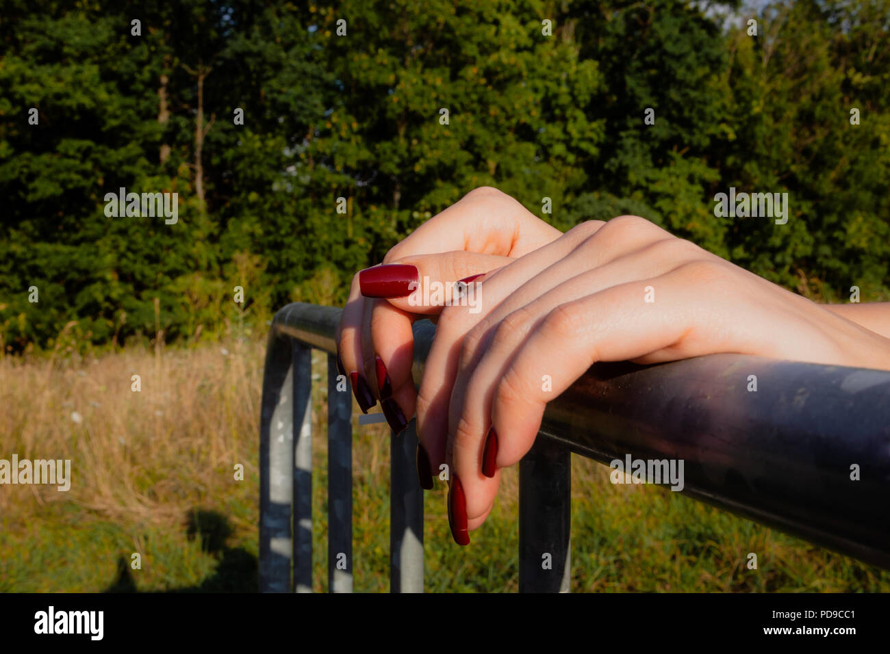 Hand positions holding hi-res stock photography and images - Alamy