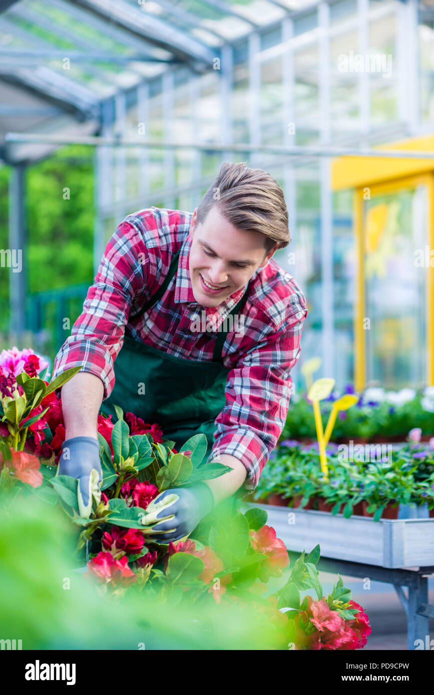 Dedicated florist during work in a modern flower shop Stock Photo - Alamy