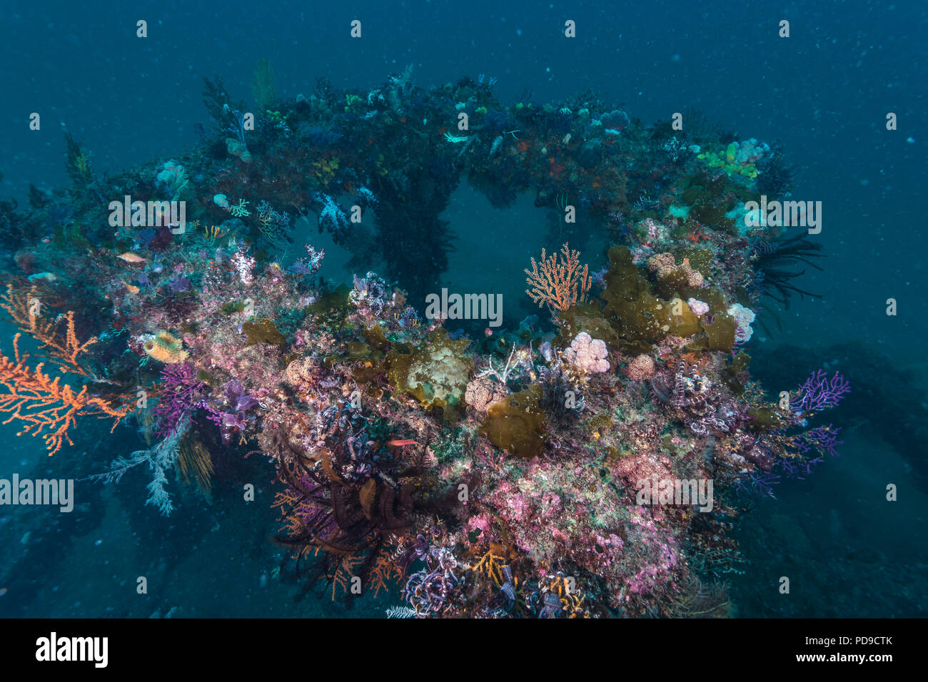 The artificial fish reef point covered with colorful soft coral. -20m ...