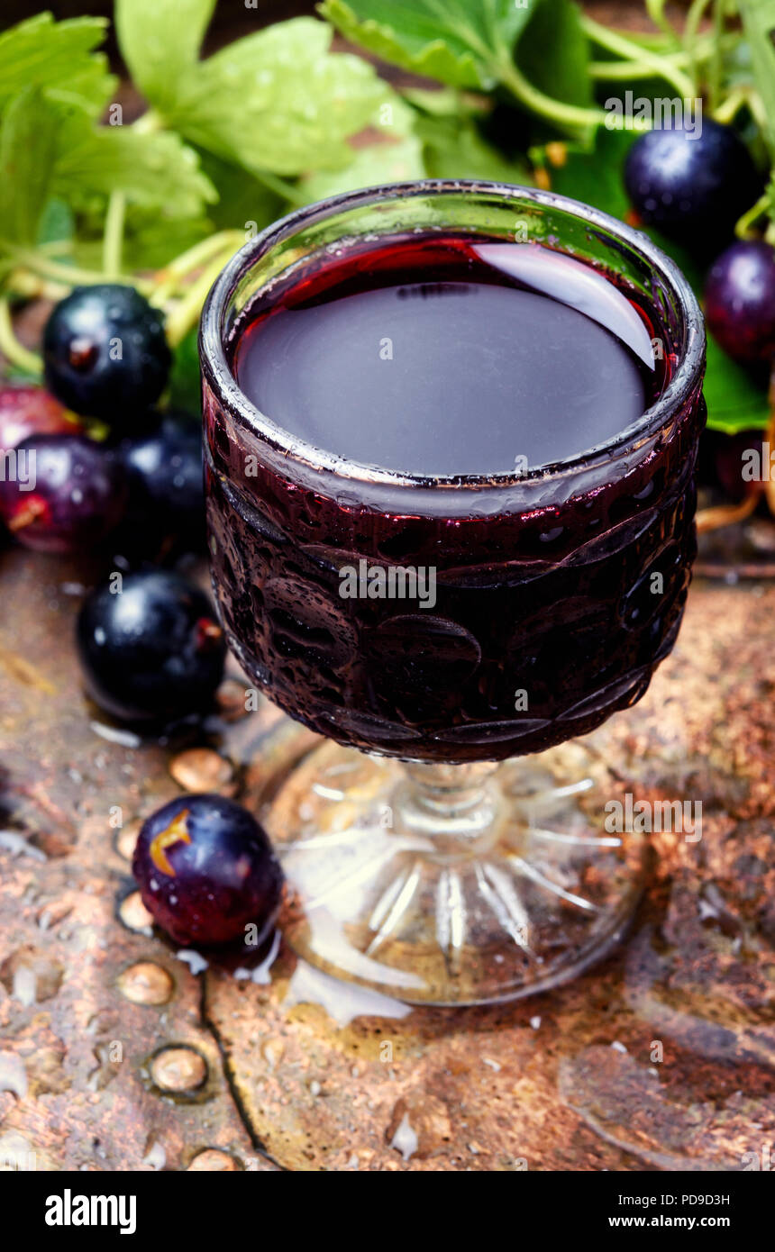 Delicious homemade alcoholic cocktail with black currant berries Stock ...
