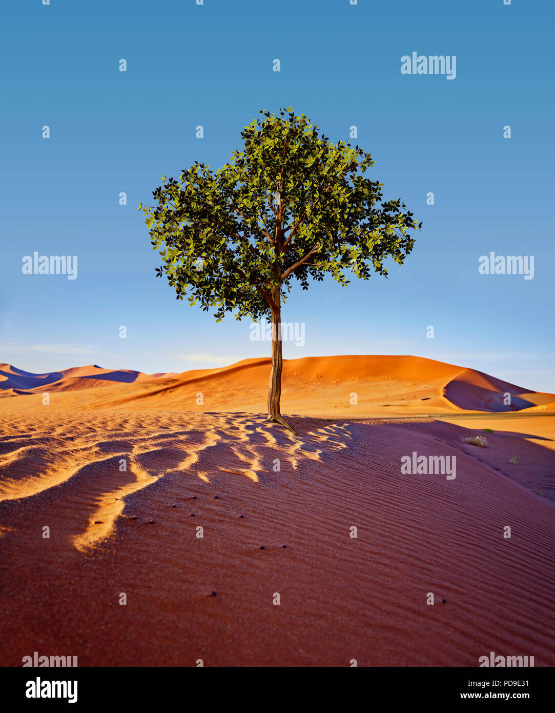 brave tree standing alone in the desert Stock Photo - Alamy