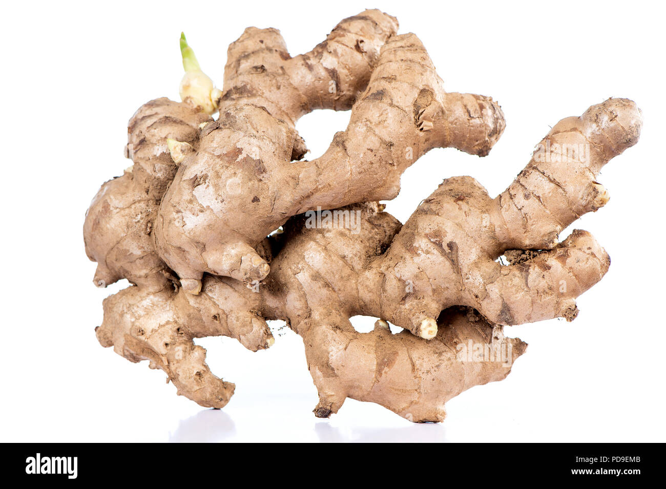 Ginger Isolated on a white Clipping Path Stock Photo - Alamy