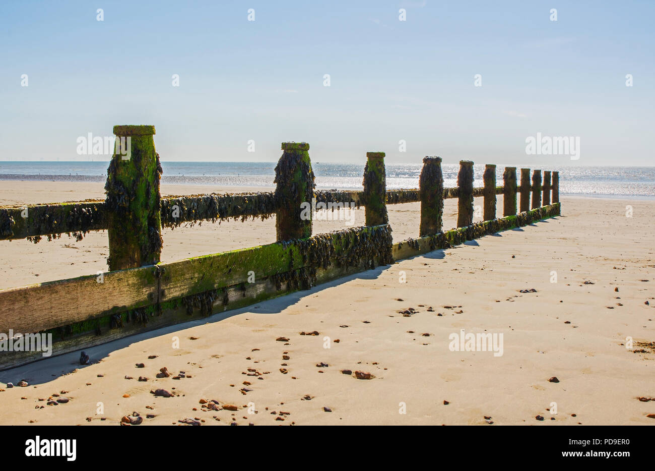 Wooden groyne on sandy beach at Littlehampton in West Sussex, England ...