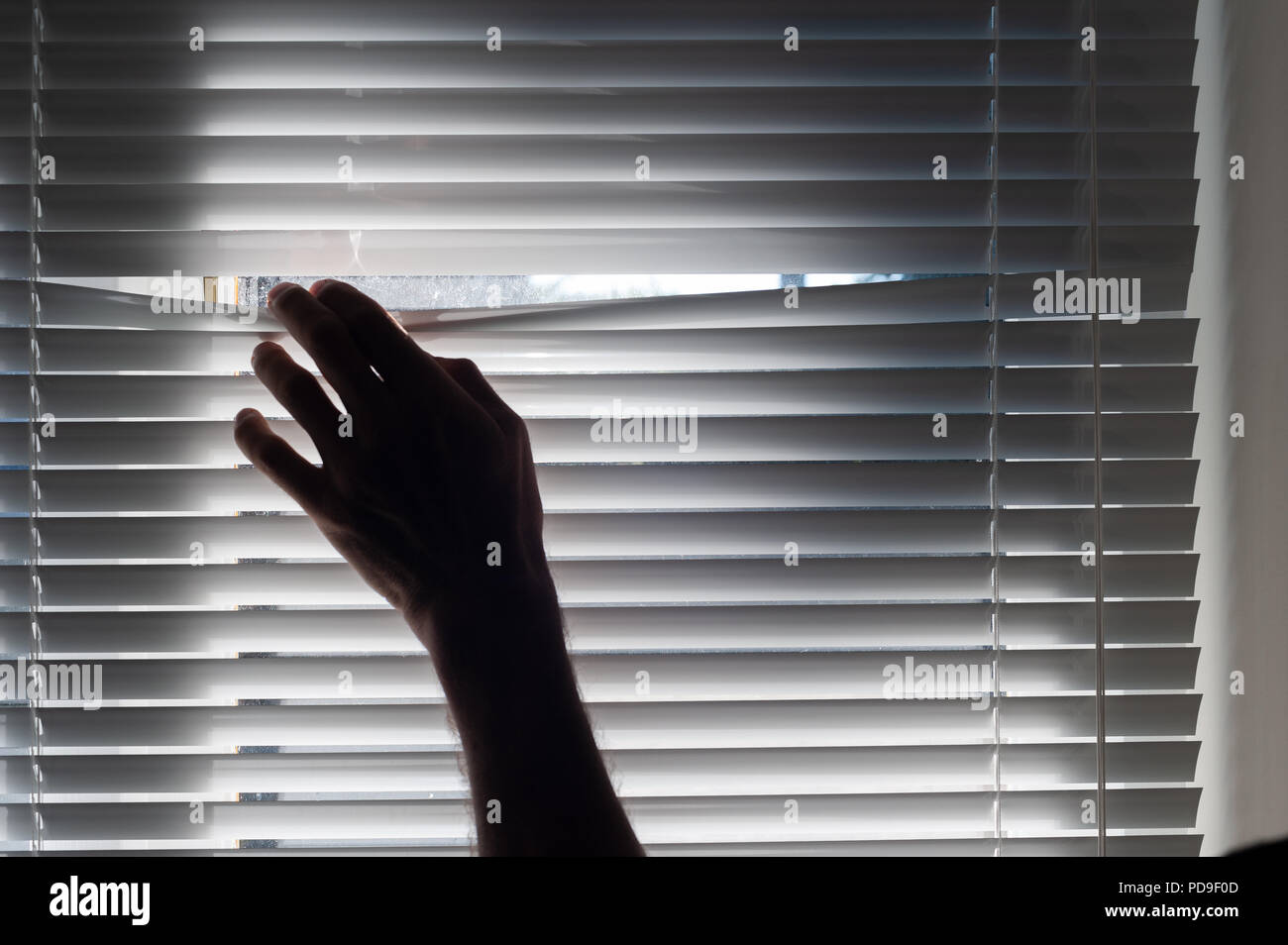 Peeping blinds hi-res stock photography and images - Alamy