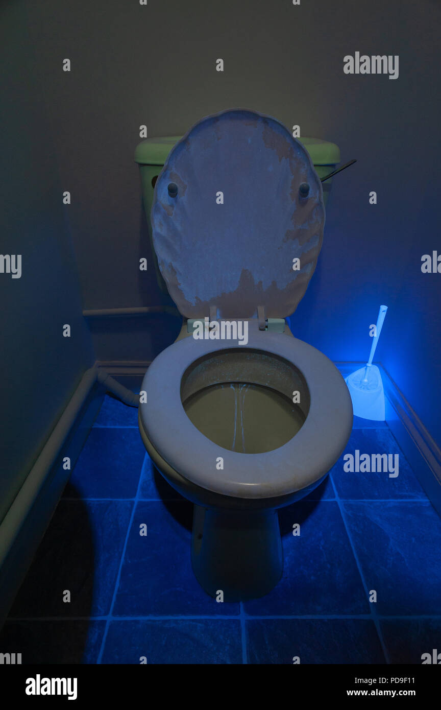 Moving house UV induced fluorescence in the bathroom, which seeded ...