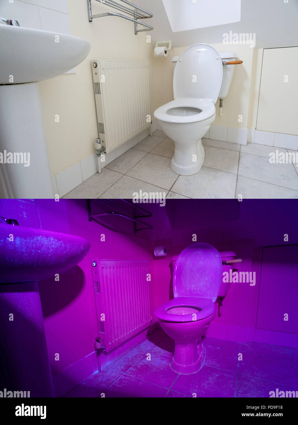 Moving house UV induced fluorescence in the bathroom, which seeded ...
