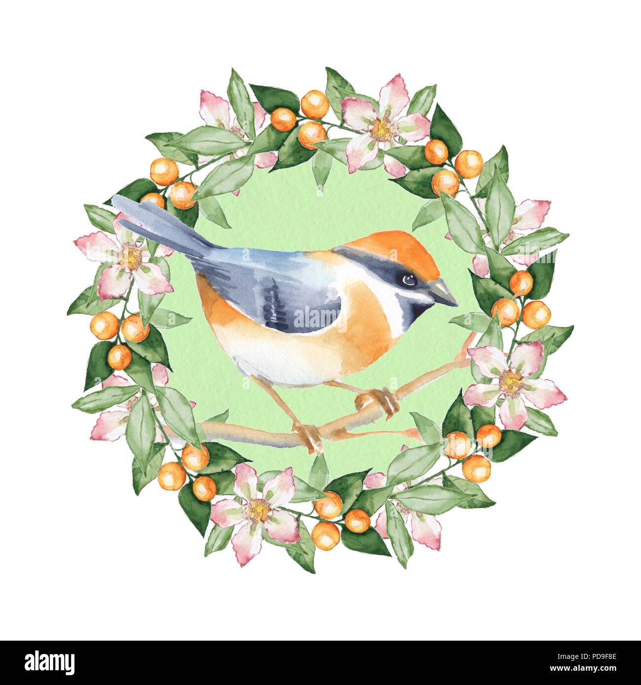 Bird and floral wreath. Watercolor painting Stock Photo - Alamy