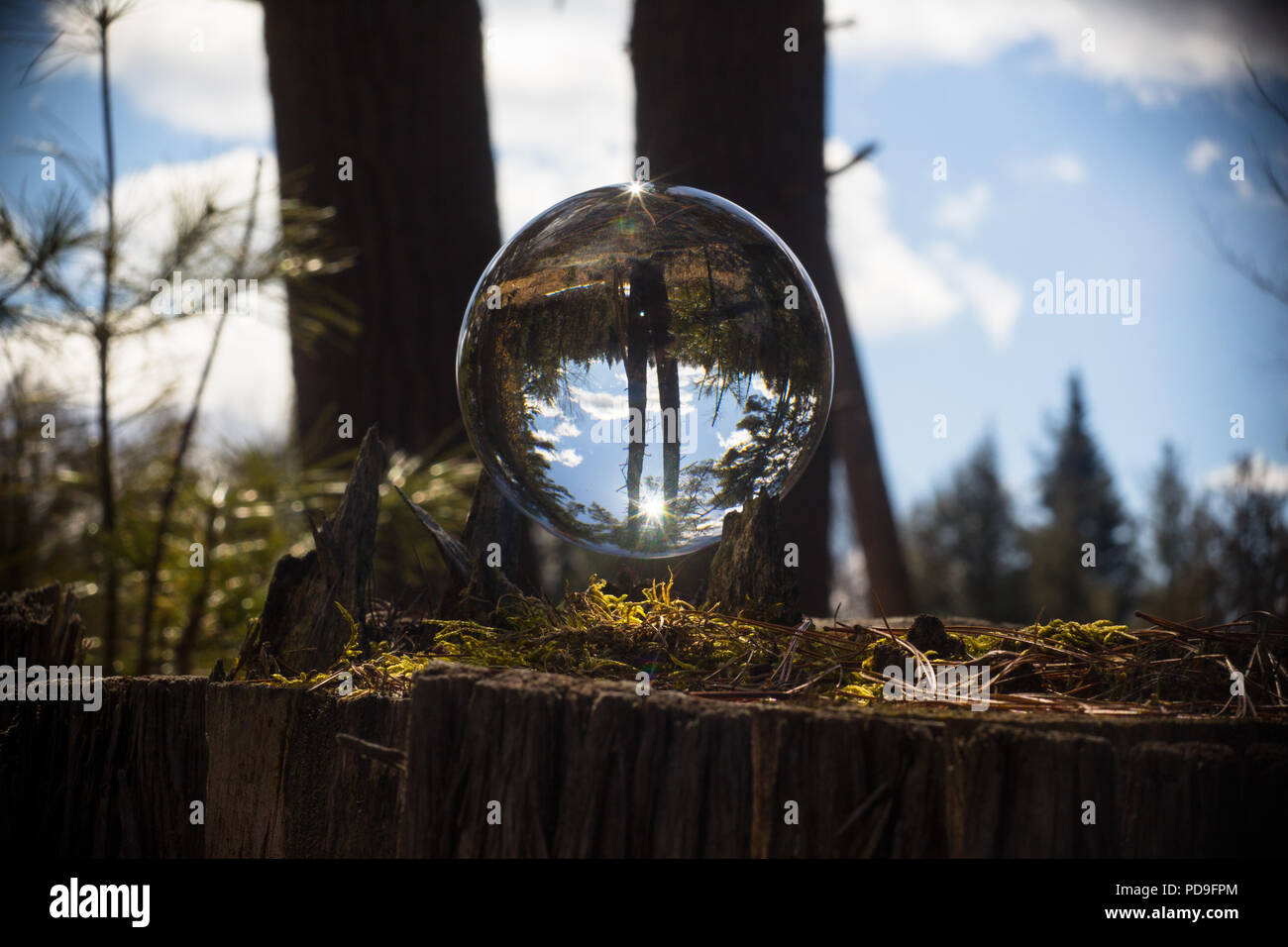 Glass crystal lens ball in the landscape up side down phenomenon optics ...
