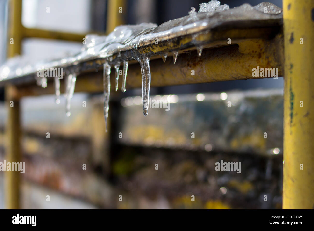 Ice and icicles on old rustic yellow stair steps outside slipping ...