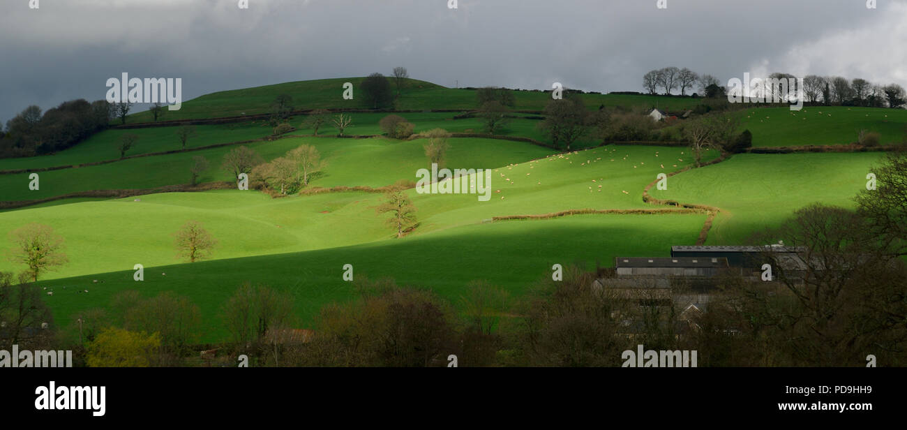 Ray of sunlight illuminating farmland on the hill in village of Dalwood ...