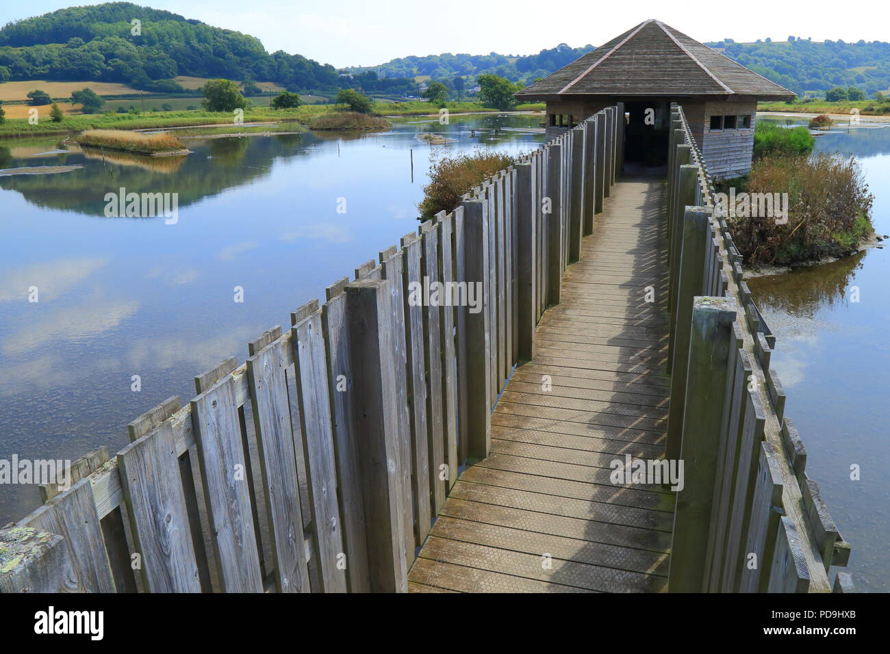 Wooden footpath with fence leading to The Island Hide in Black Hole ...