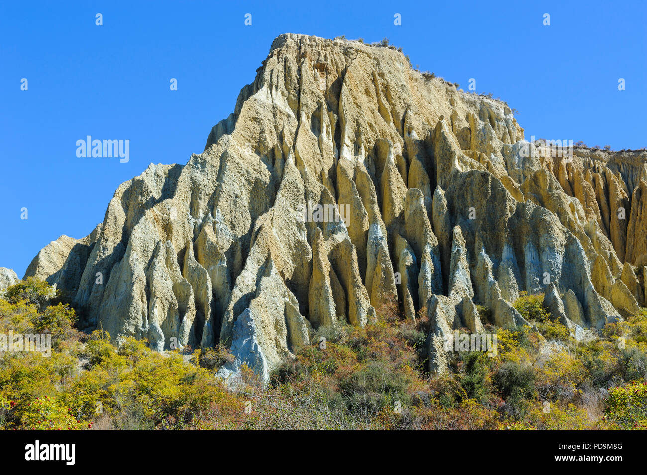 Huge sharp pinnacles of the Omarama clay cliffs, South Island, New ...