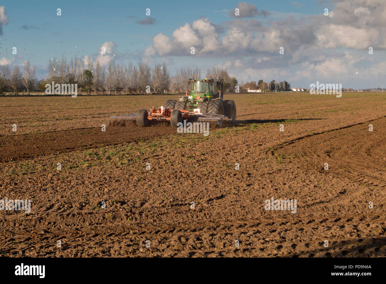 Tractor with plow on harvest field. Summer field and tractor. Tractor ...