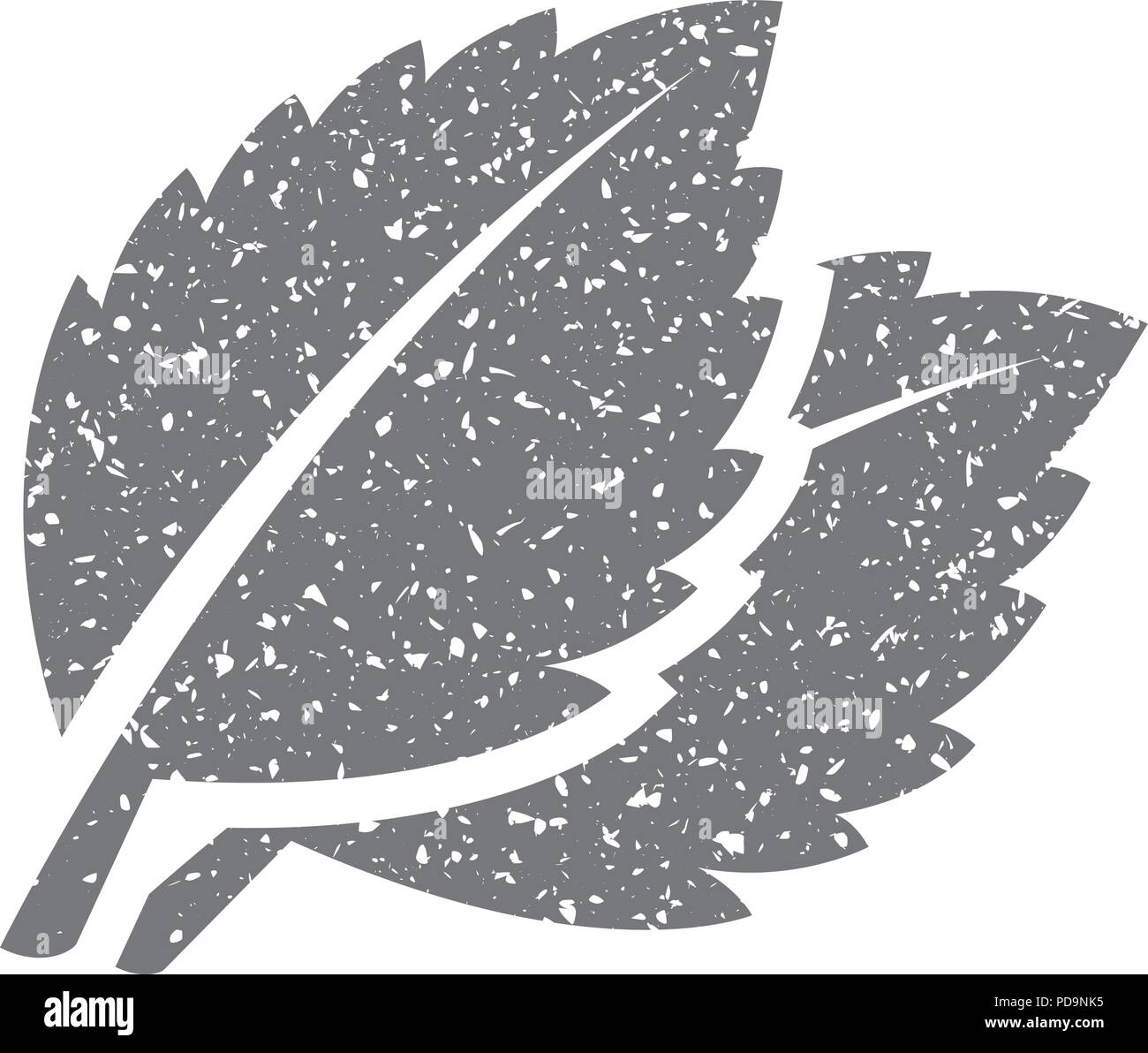 Leaf leaves aromatic basil Stock Vector Images - Alamy