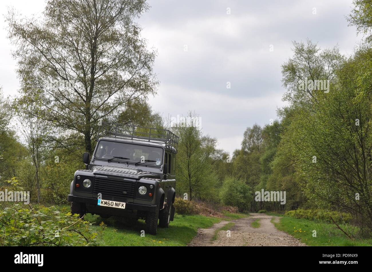 Dirt road through woods hi-res stock photography and images - Alamy