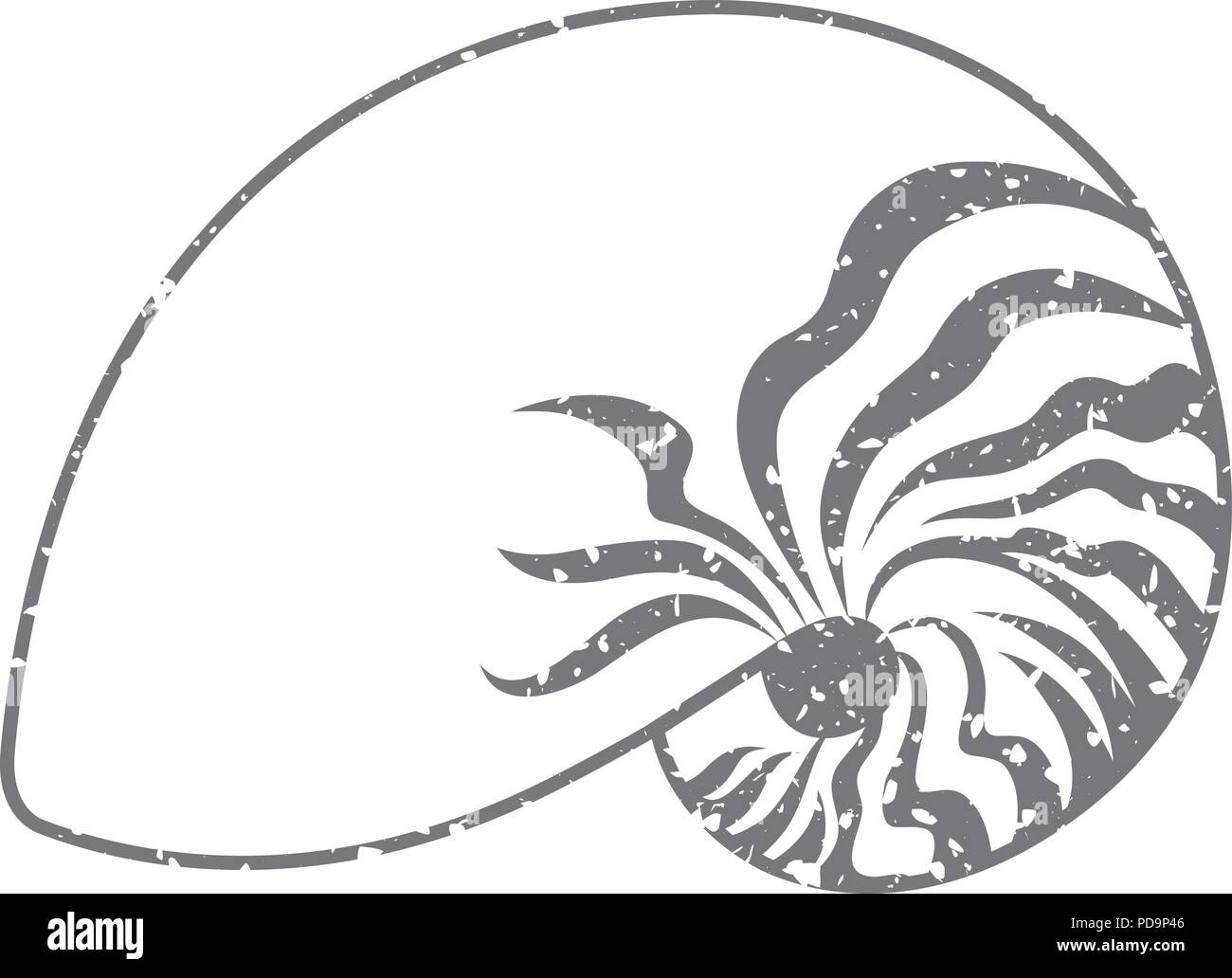 Grunge icon - Nautilus Stock Vector Image & Art - Alamy