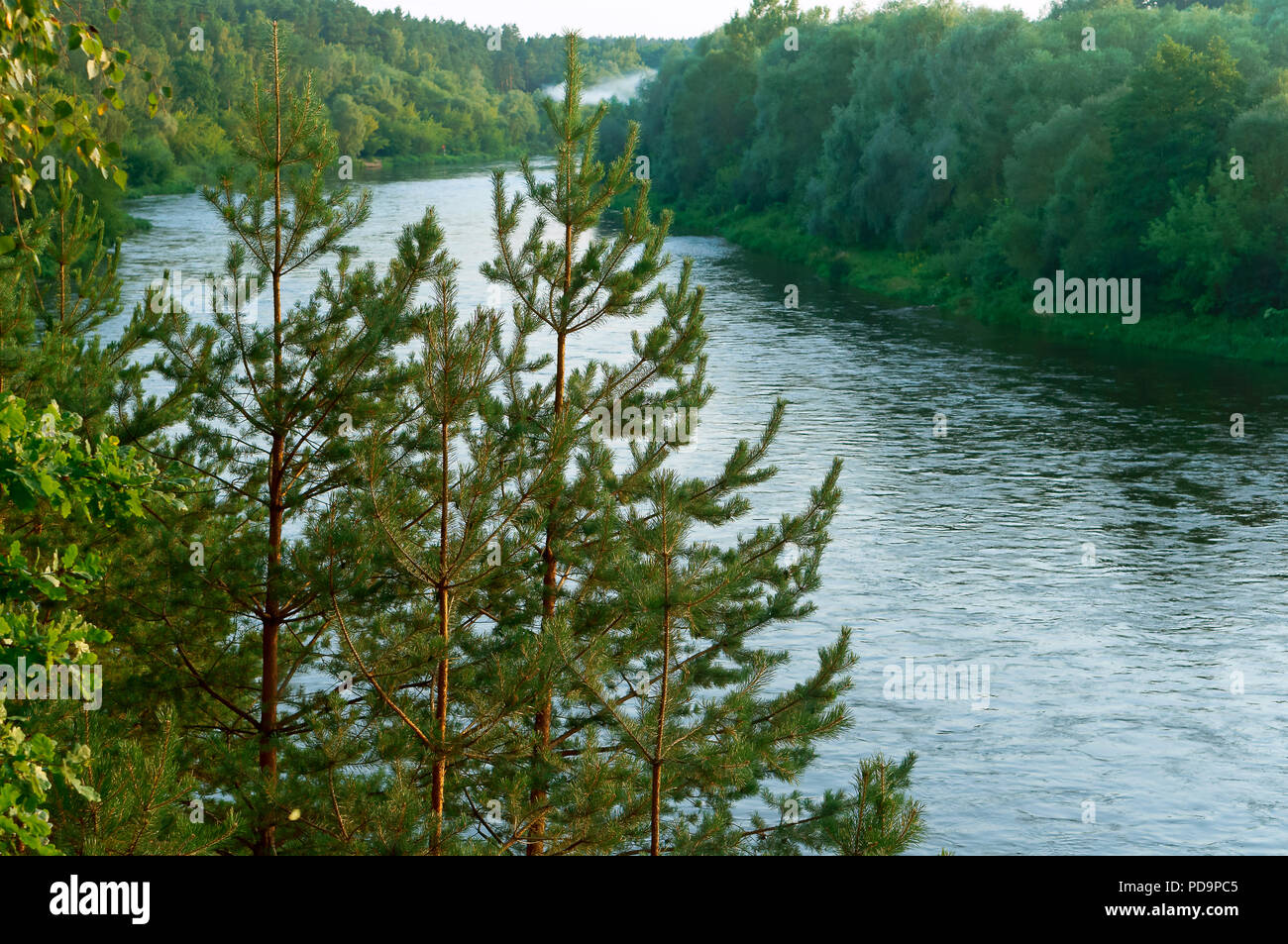 Rainforest river top view hi-res stock photography and images - Alamy