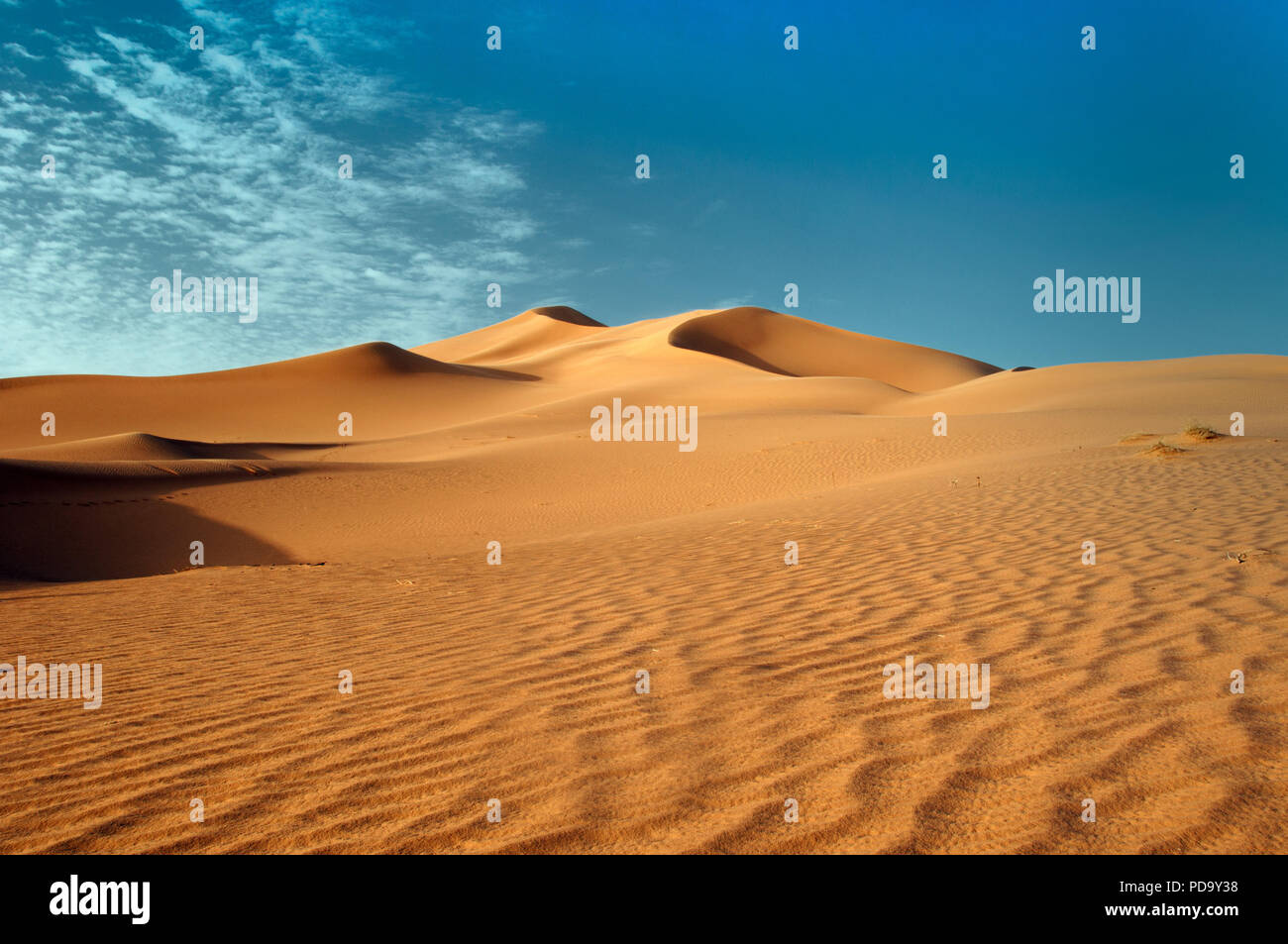 Evening in the desert, ripples on the surface of sand, yellow sand ...